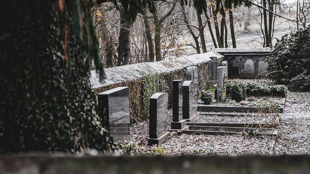 In 2022 was de oversterfte het hoogst onder mensen jónger dan 50: 'Heel ... In 2022 was de oversterfte het hoogst onder mensen jónger dan 50: 'Heel ...