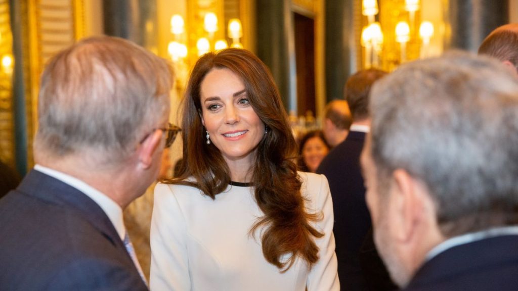 VIDEO: NASA-beelden tonen 'UFO's die energie van de zon opzuigen'