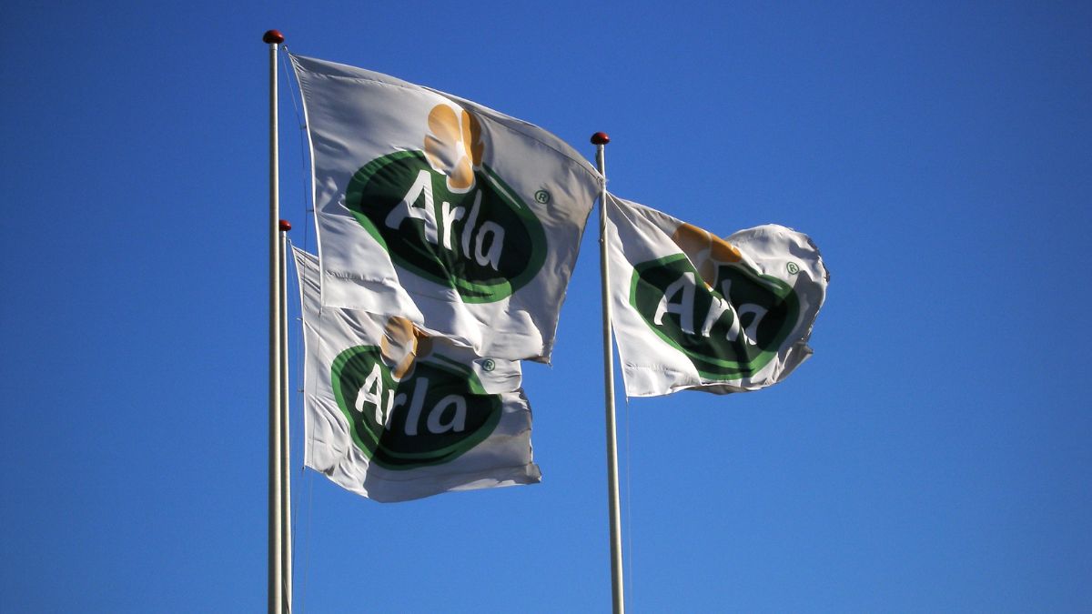 Home - NineForNews.nl