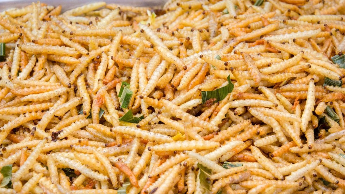 Europarlementariër waarschuwt: met de eiwitshift willen ze het mogelijk ...